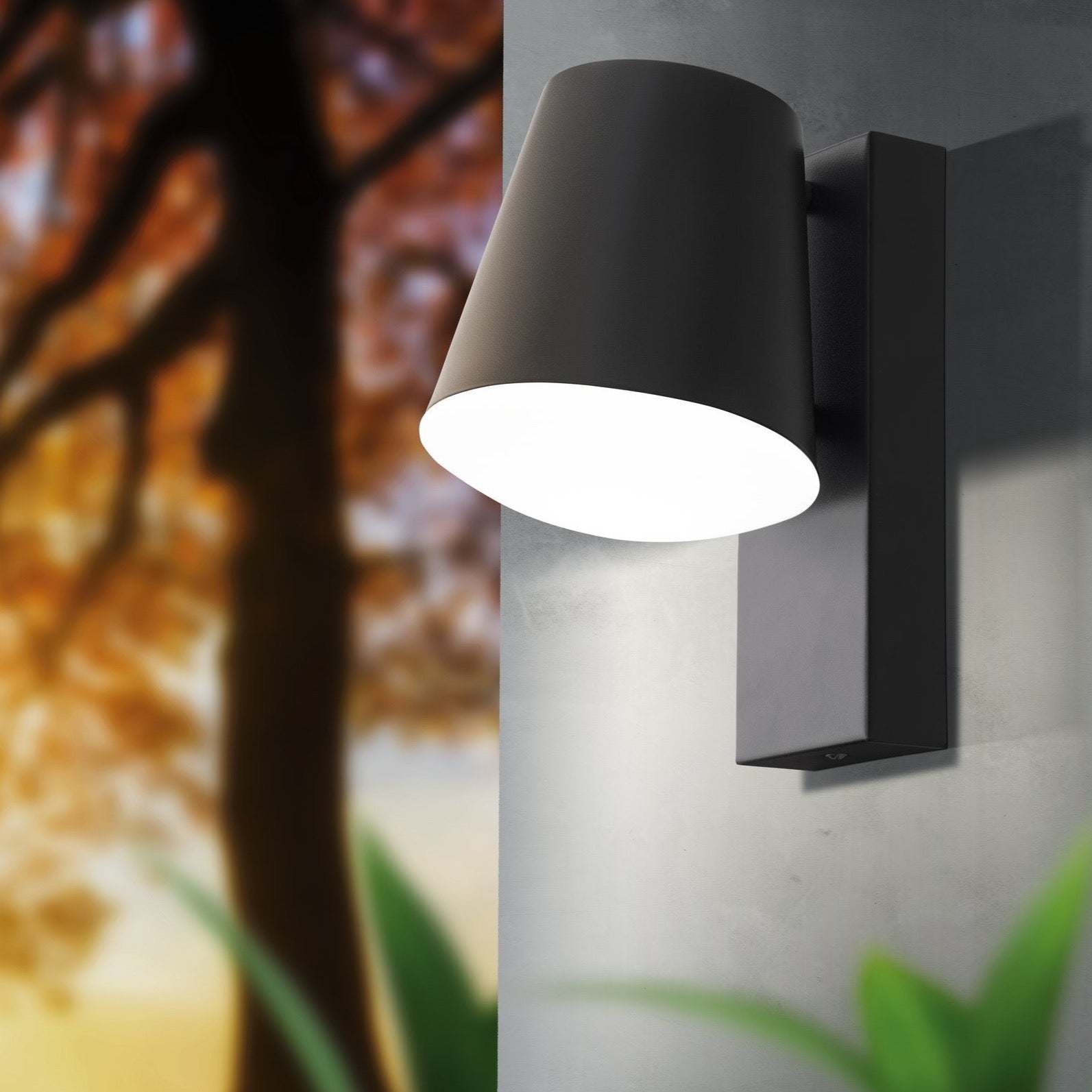 Buy Eglo Caldiero Grey IP44 Outdoor Wall Light